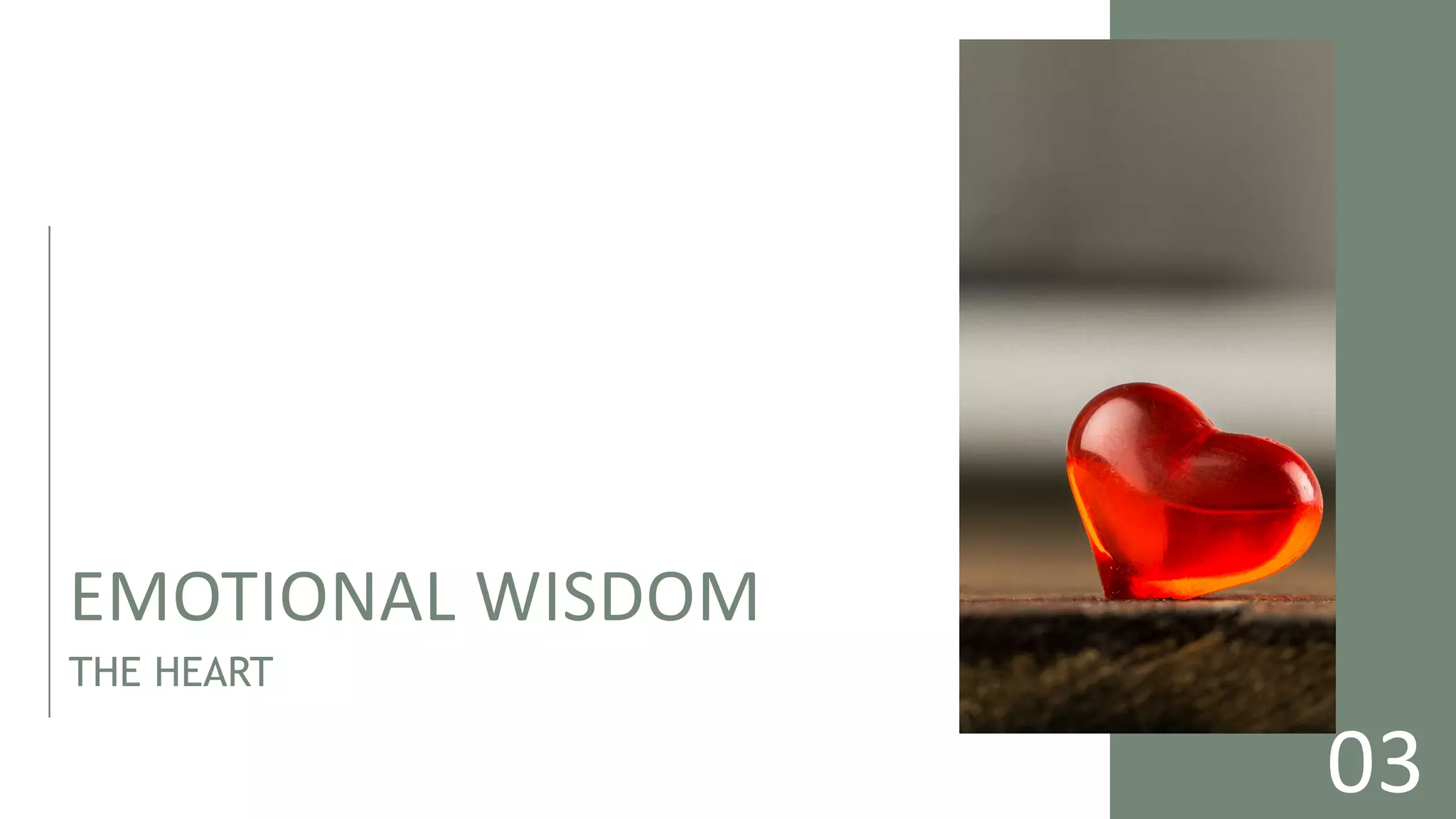 Emotional Wisdom, Feeling all Feelings And its Benefits in Leadership | PDF