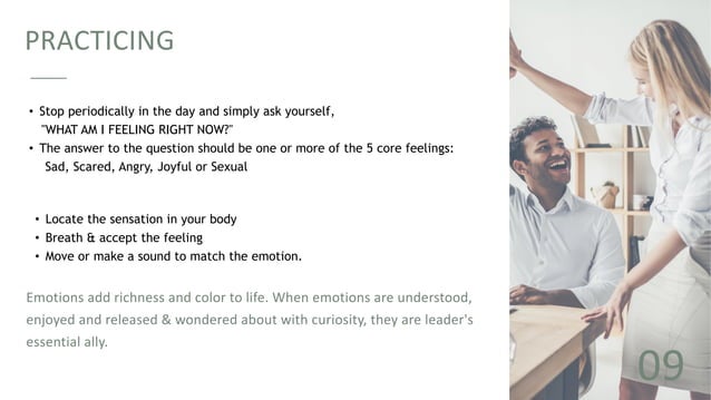 Emotional Wisdom, Feeling all Feelings And its Benefits in Leadership | PDF