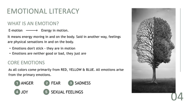 Emotional Wisdom, Feeling all Feelings And its Benefits in Leadership | PDF