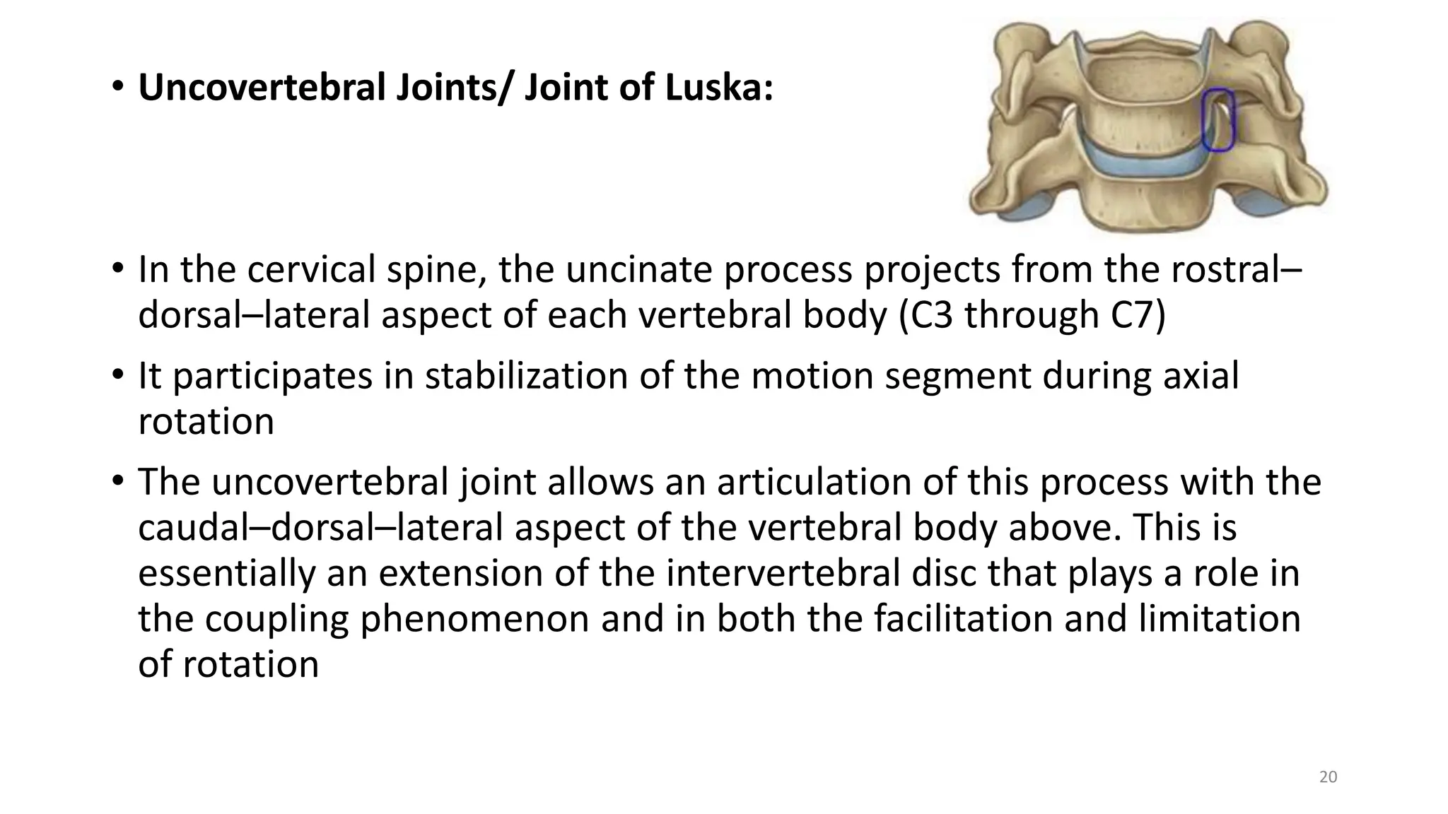 Anatomy_of_Spine_and_its_Biomechanics.pptx
