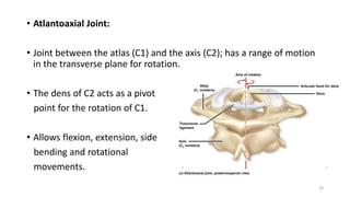 Anatomy_of_Spine_and_its_Biomechanics.pptx