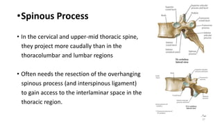 Anatomy_of_Spine_and_its_Biomechanics.pptx