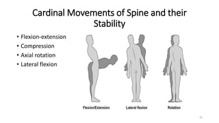 Anatomy_of_Spine_and_its_Biomechanics.pptx