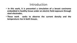Modeling of Electric Field and Joule Heating in Breast Tumor during ...