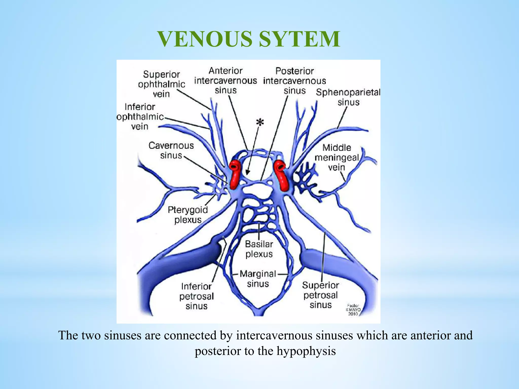 Caroticocavernous fistula CCF | PPTX
