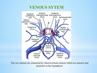 Caroticocavernous fistula CCF | PPTX