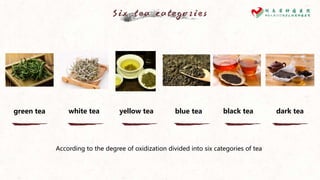 Chinese Tea Culture and Healthcare | PPTX