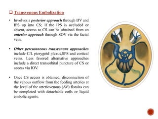 TRAUMATIC CCF | PPTX