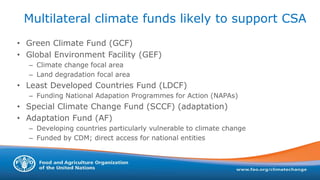 Financing climate smart agriculture | PPT