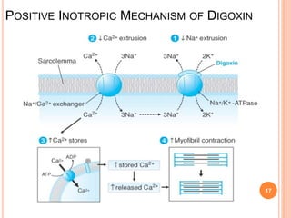 CCF PHARMACOLOGY. PRESENTED BY A LECTURE | PPT