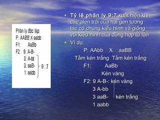 Các gen đa alen và sự tương tác | PPT