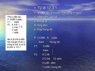 Các gen đa alen và sự tương tác | PPT
