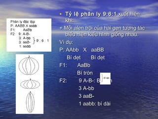 Các gen đa alen và sự tương tác | PPT