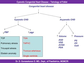Congenital Cyanotic Heart Disease & TOF - Dr. D. Gunasekaran | PPT