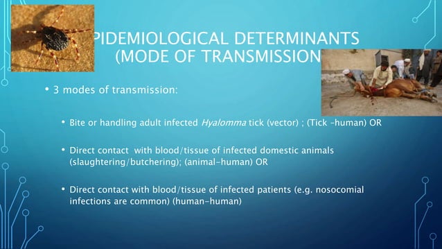 Crimean-Congo Hemorrhagic Fever (CCHF) | PPTX | Infectious Diseases ...
