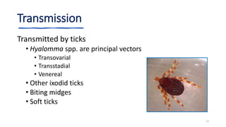 Crimean-Congo Hemorrhagic Fever | PPT