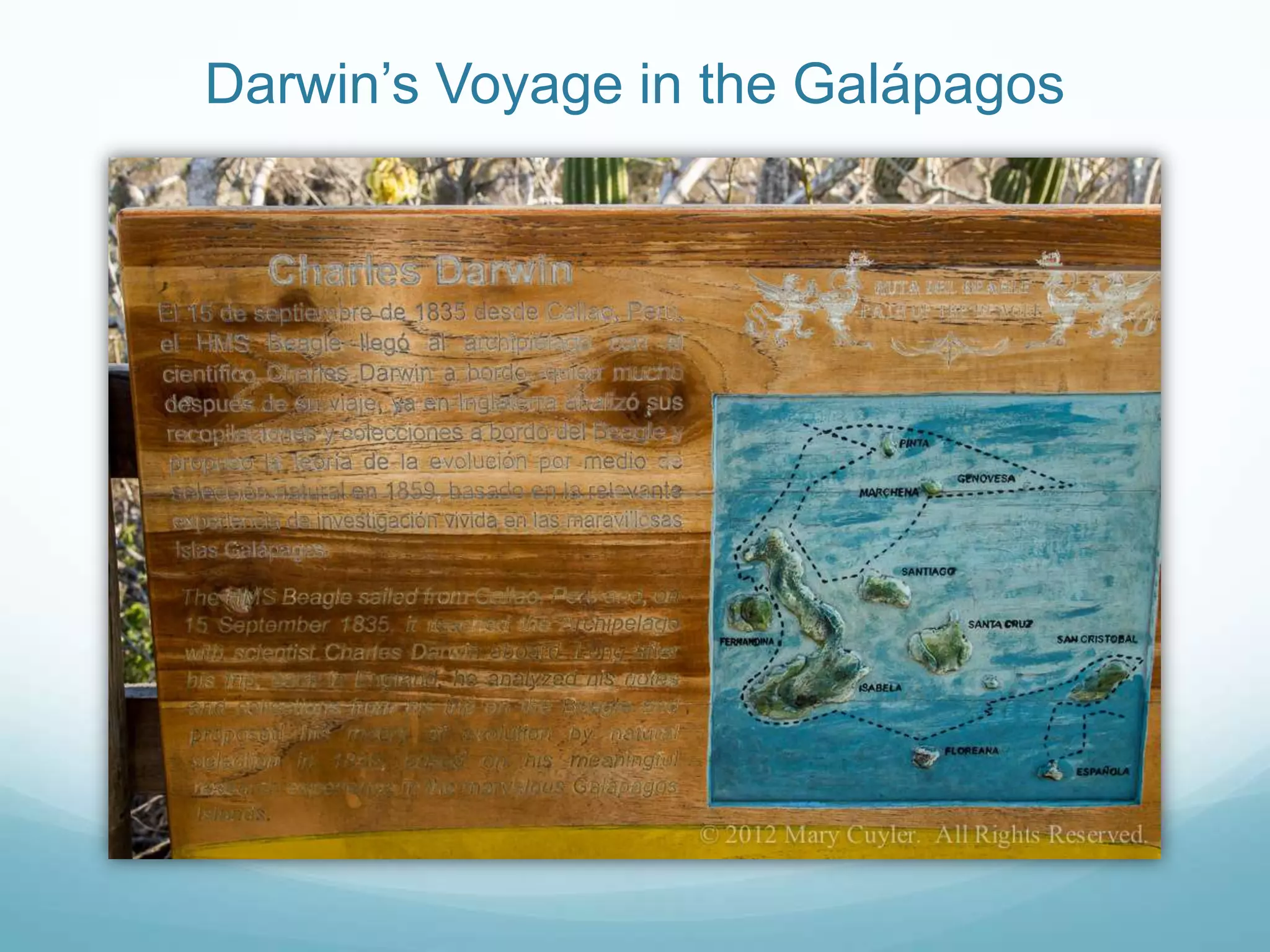 Galápagos PowerPoint 2013 | PPT