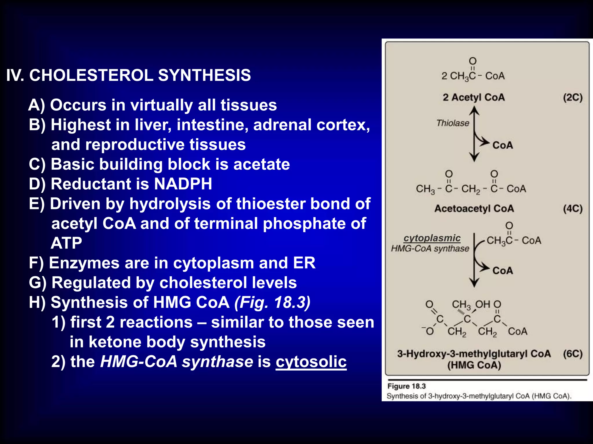 Cholesterol.ppt
