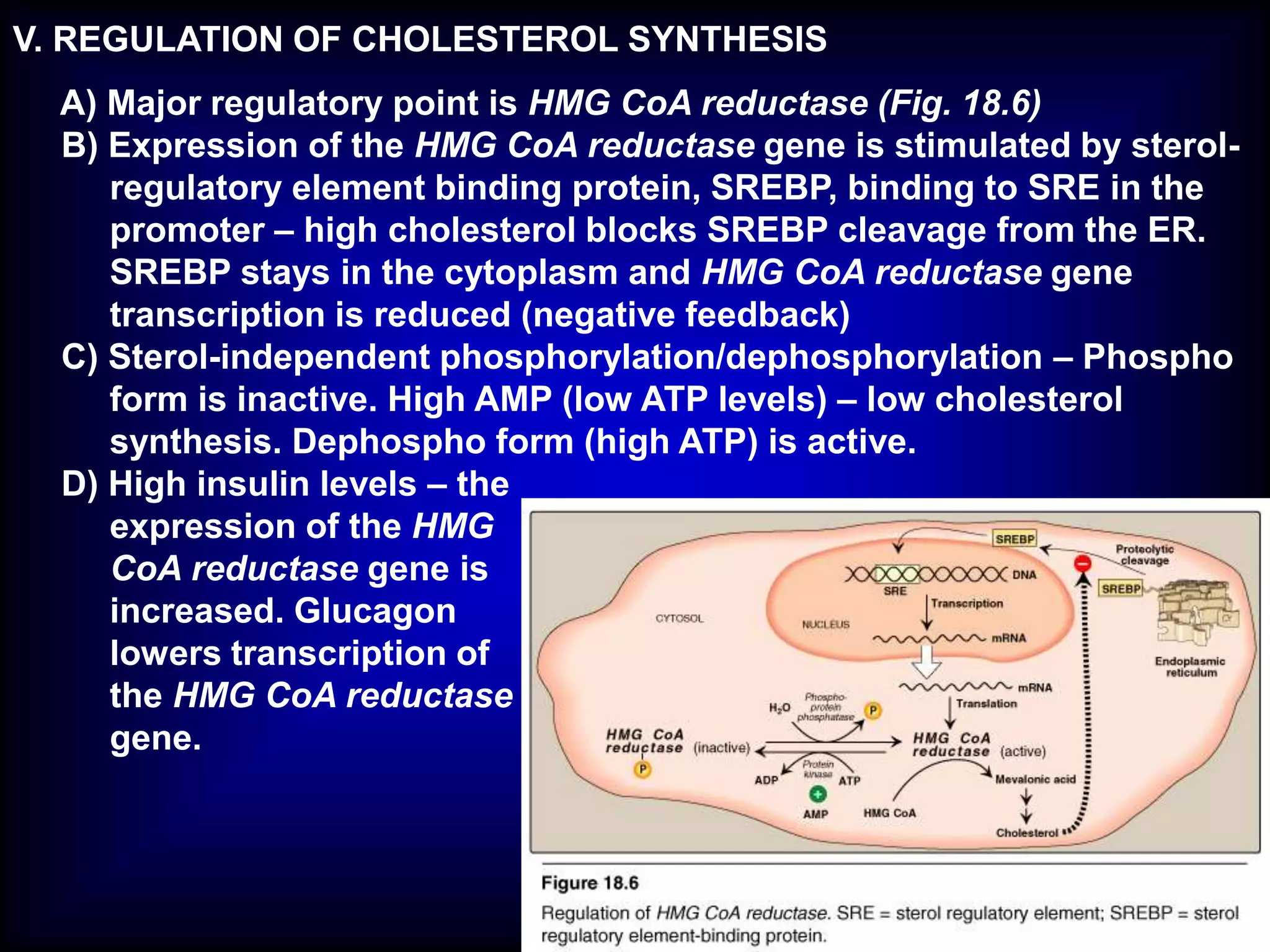 Cholesterol.ppt