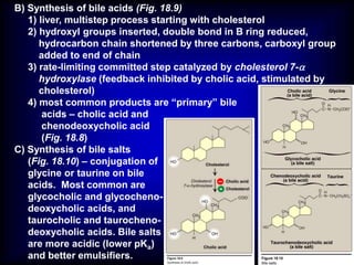 Cholesterol.ppt
