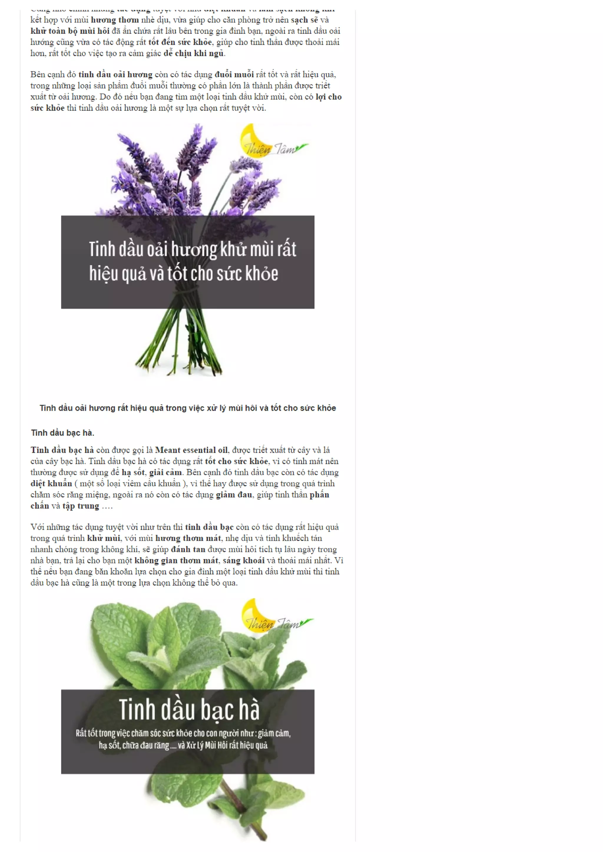 Tinh dau khu mui hieu qua - williamcuong.com