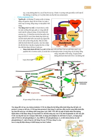 CƠ CHẾ SINH LÝ TIÊU HÓA | PDF