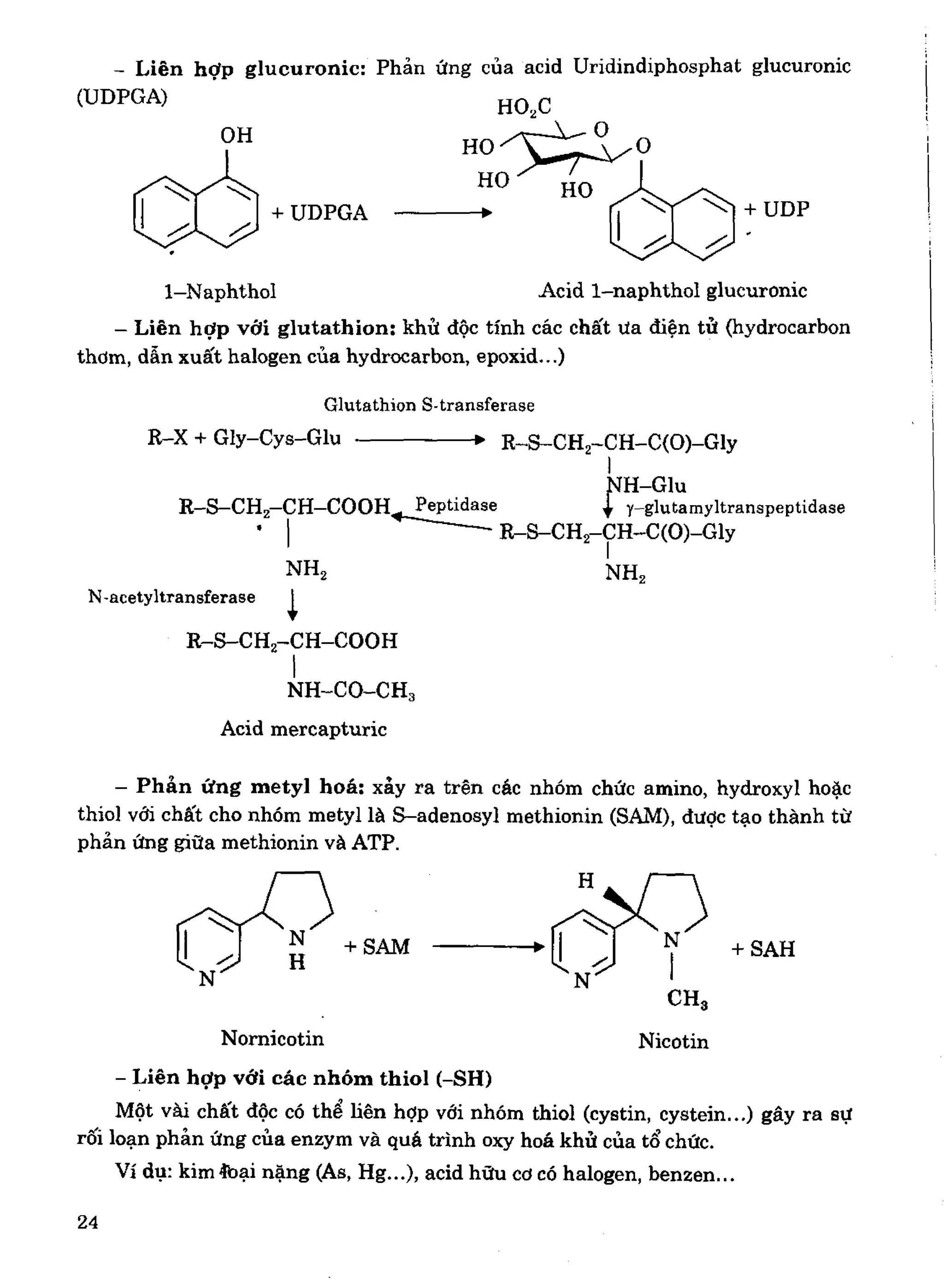 ĐỘC CHẤT HỌC.pdf
