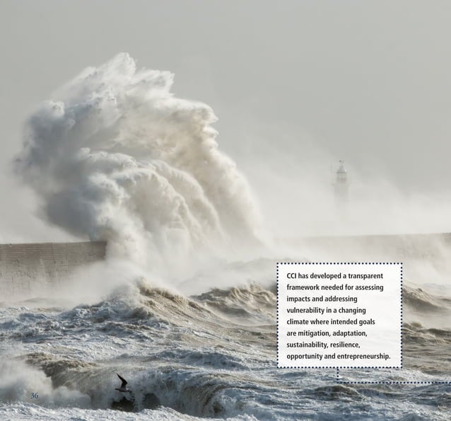 CCI_Final_Web_Rev (4).pdf