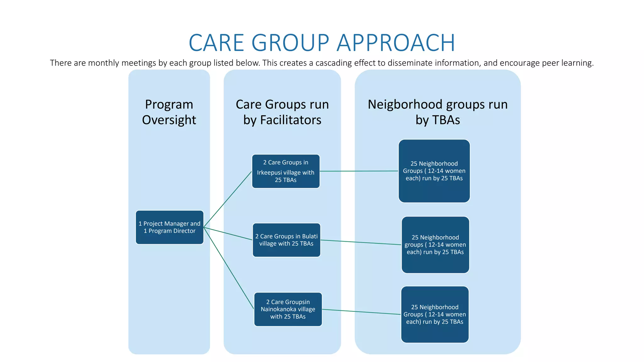 Care Group Approach to Improve MCH in Tanzania | PDF