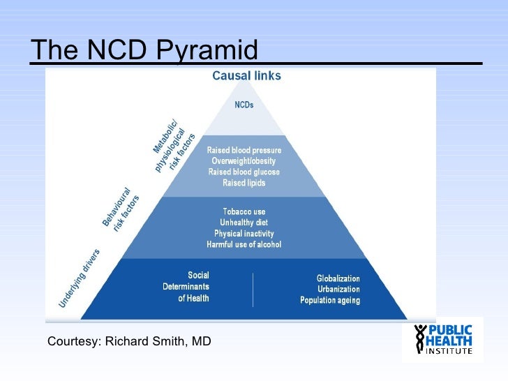 CCIH 2012 Conference, NCD Pre-Conference, Jeffrey Meer, Global Epidem…