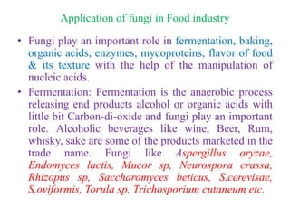 Application of Fungi in Human Welfare | PDF