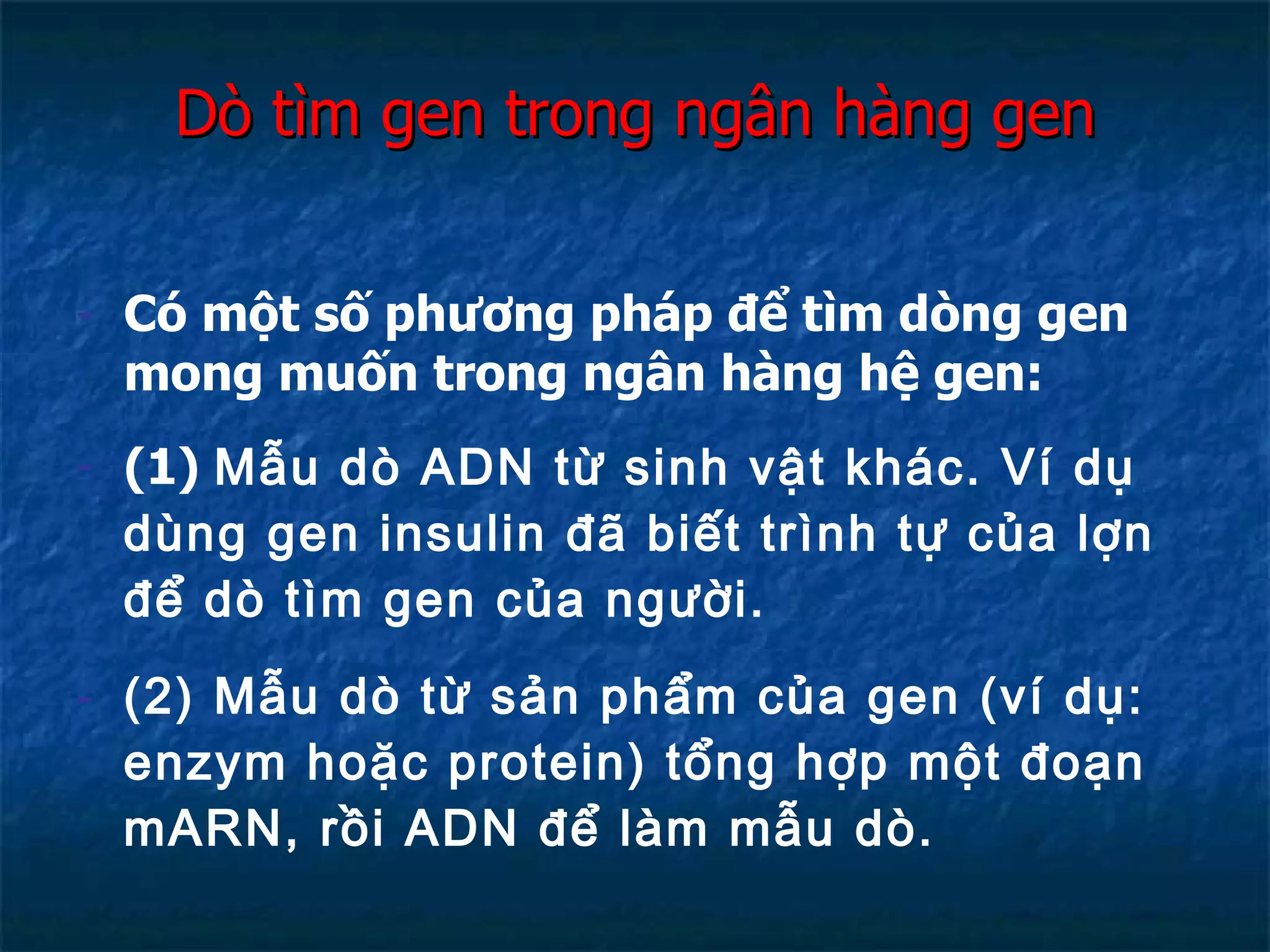 Các kỹ thuật dt phân tử | PPT