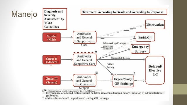 guia tokyo para colecistitis aguda .pptx