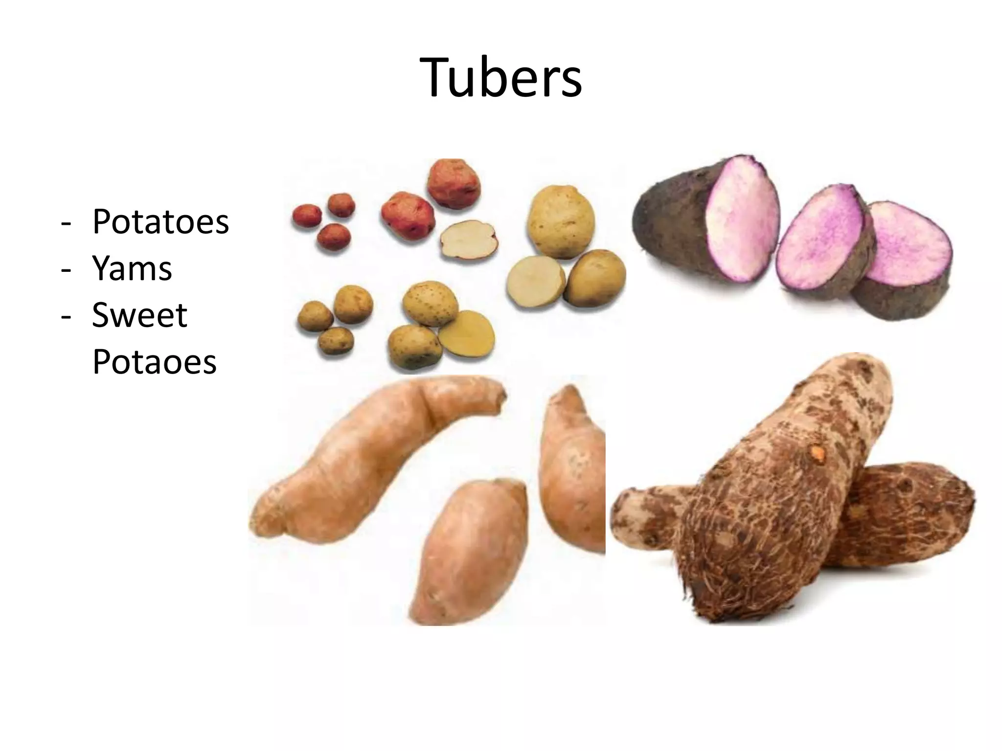 Classification of vegetables | PPTX