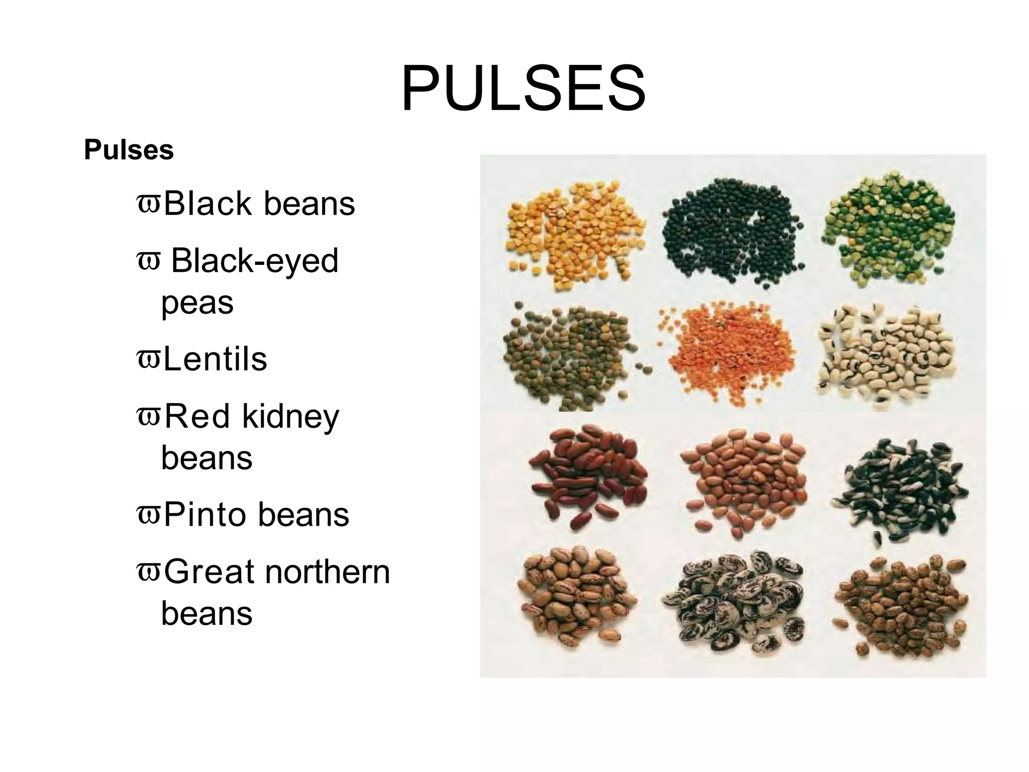 Classification of vegetables | PPTX
