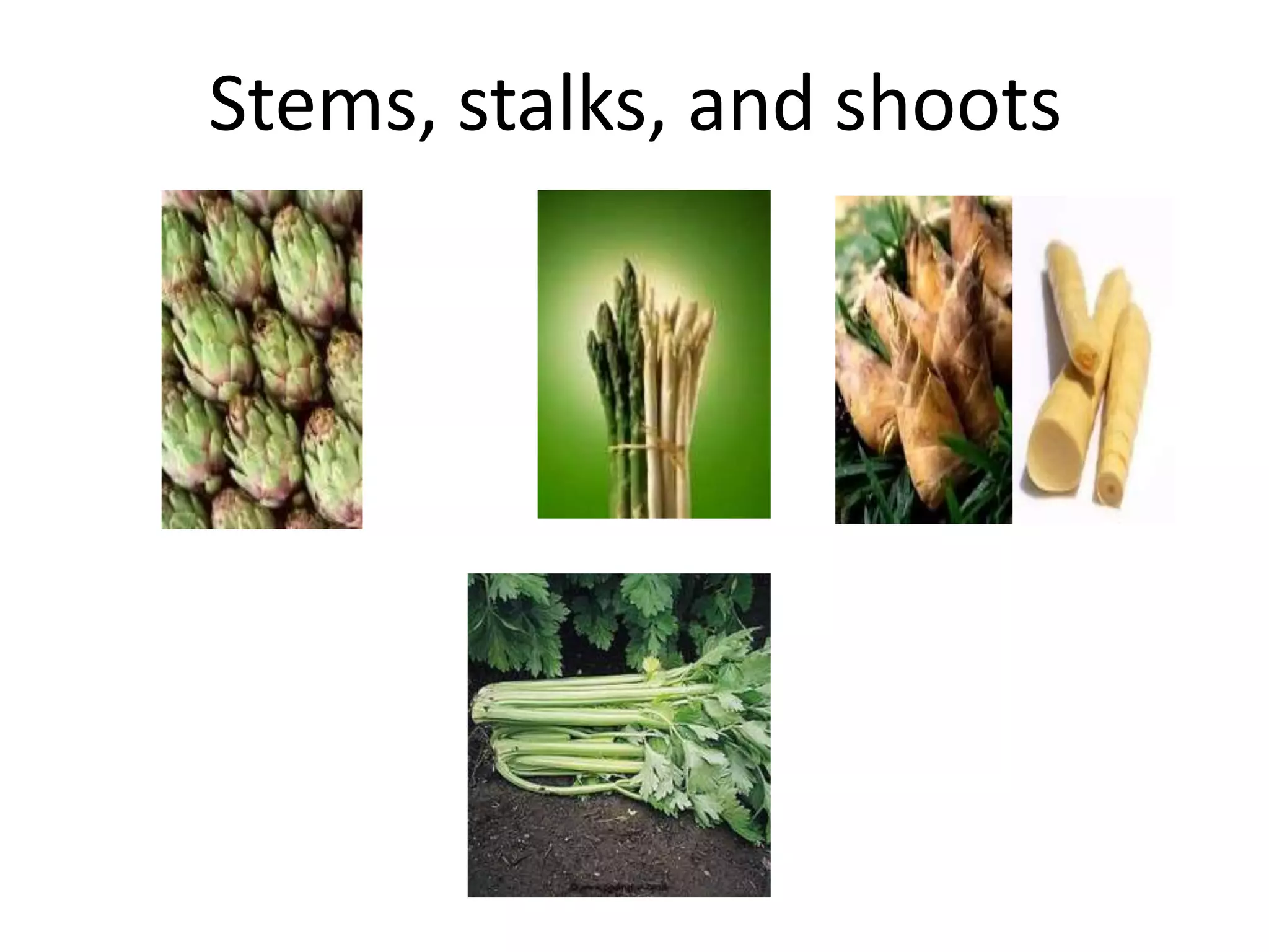 Classification of vegetables | PPTX