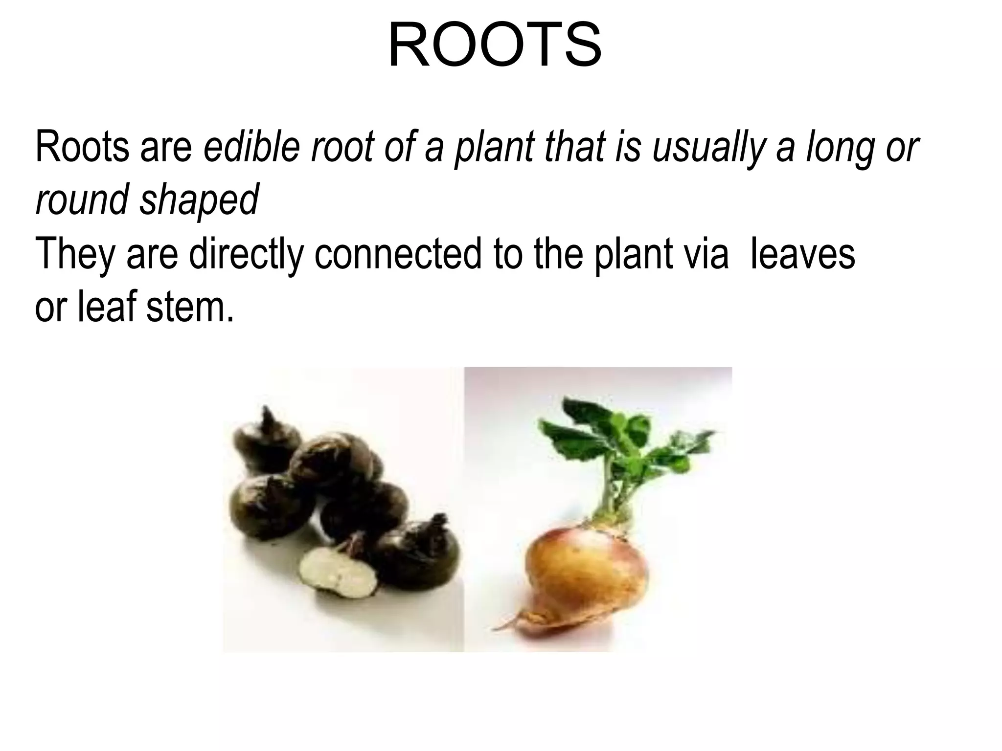 Classification of vegetables | PPTX