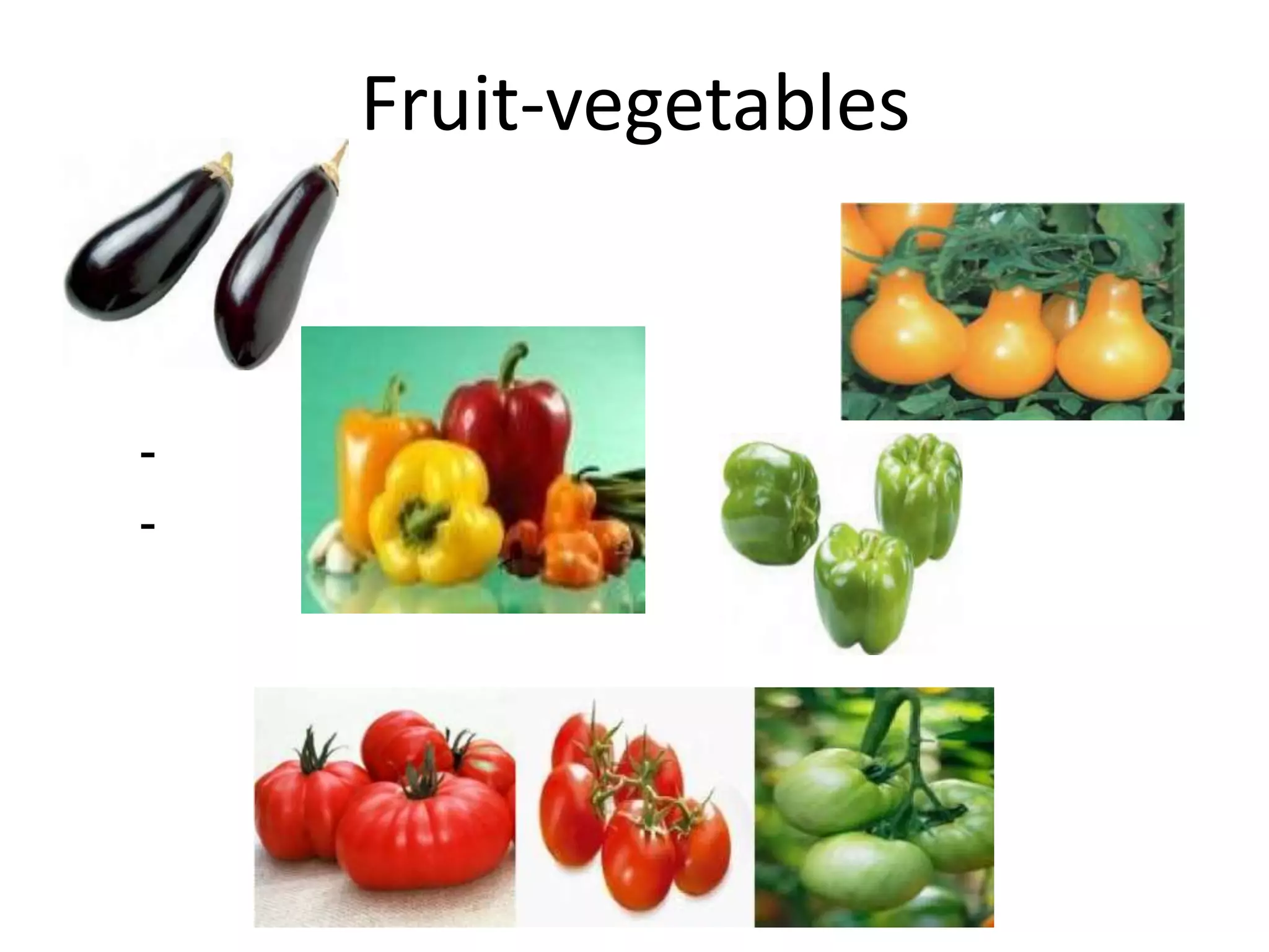 Classification of vegetables | PPTX