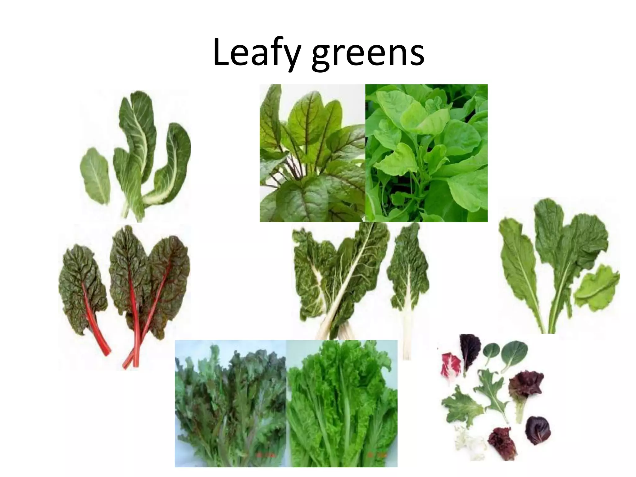 Classification of vegetables | PPTX