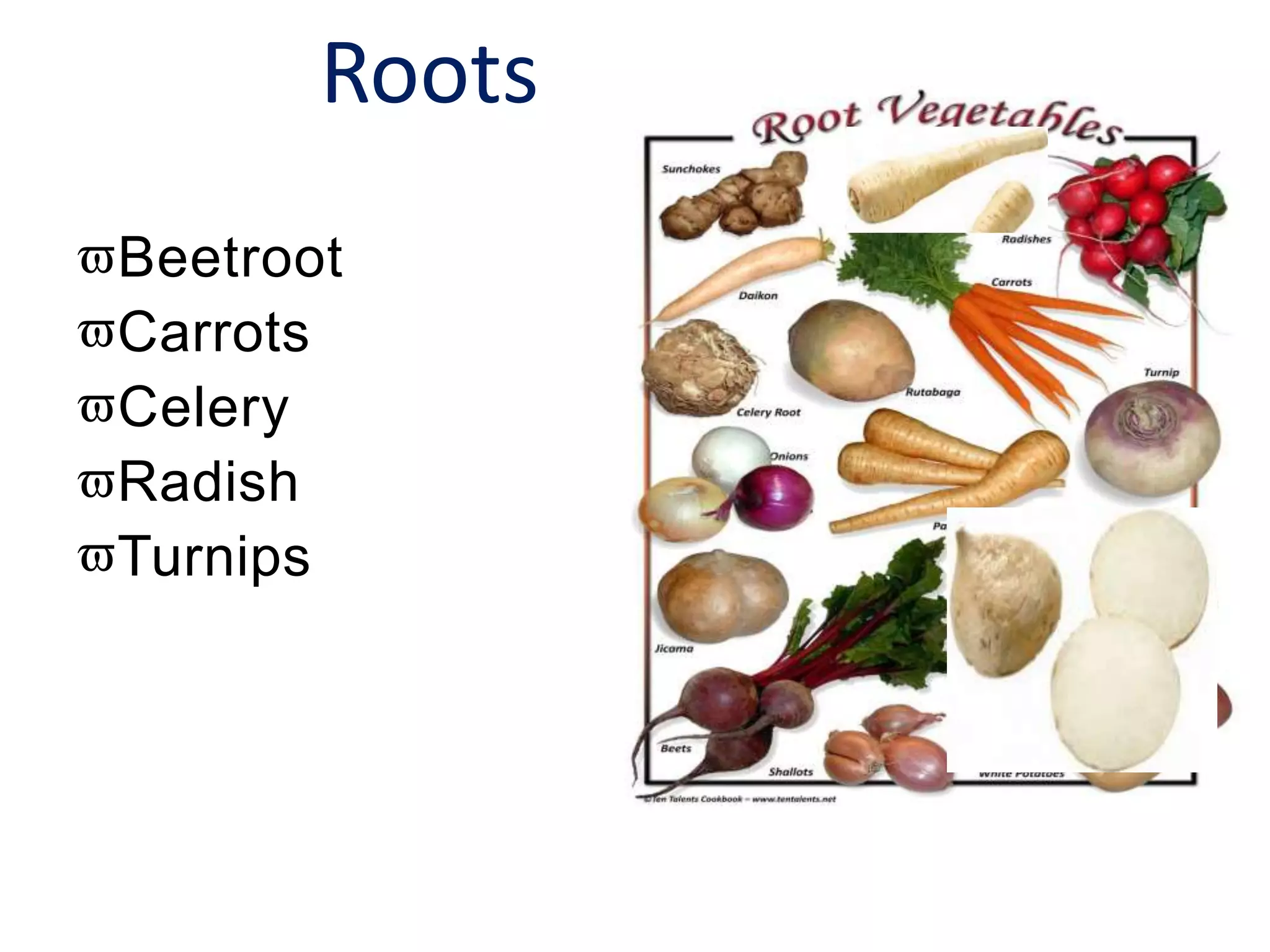 Classification of vegetables | PPTX