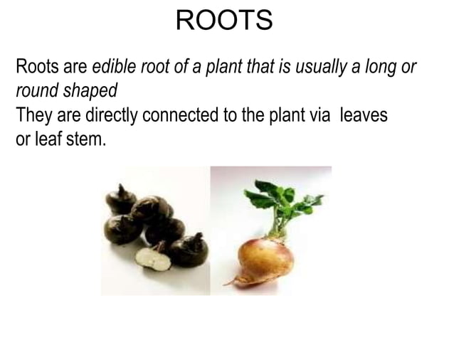 Classification of vegetables | PPTX