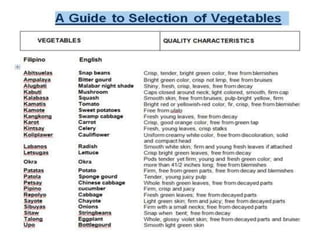 Classification of vegetables | PPTX