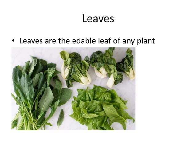 Classification of vegetables | PPTX