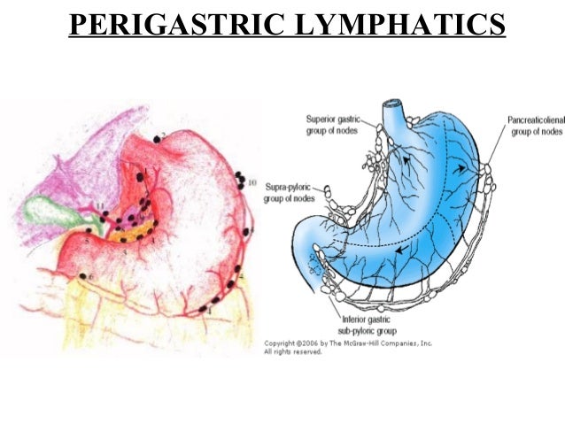 Current Concept of Management Gastric Carcinoma