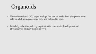 CCM Organoids ppt.pptx