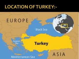 Turkish Culture | PPTX