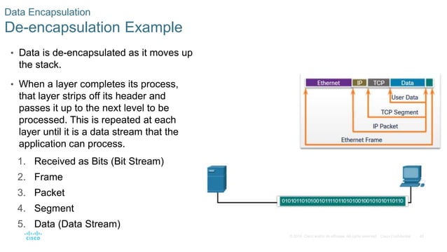 CCNA Protocols and Models Lecture Slides | PPTX
