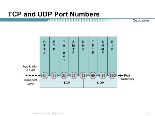 Ccna1v31 mod11