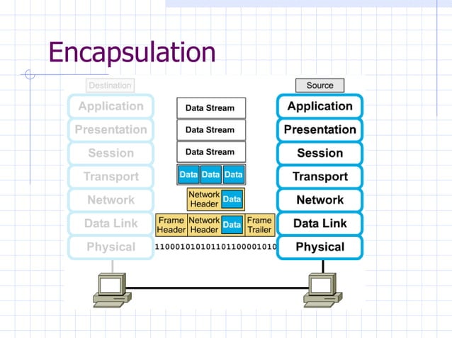 Ccna1v3 Mod02 Class | PPT