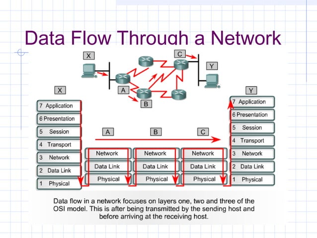 Ccna1v3 mod08 | PPT | Free Download